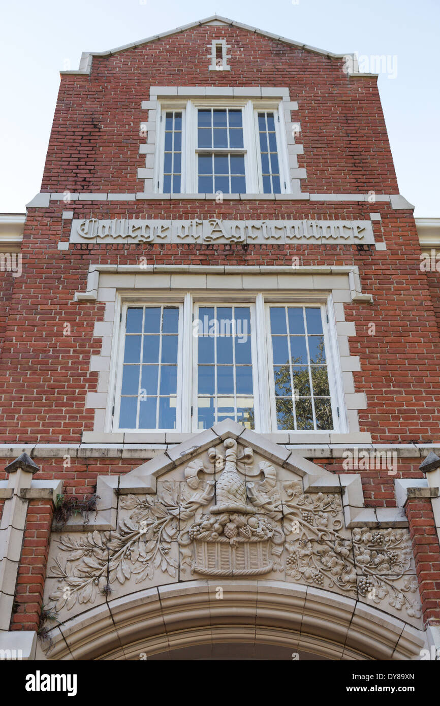 Stately Brick Classroom Building, University of Florida, Gainesville ...
