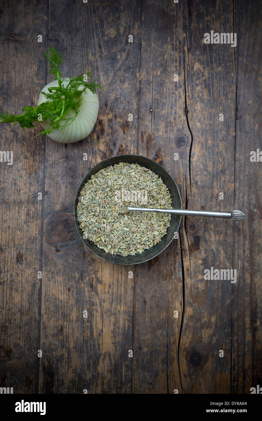 Bowl of fennel seeds and fennel corm (Foeniculum vulgare) on wooden ...