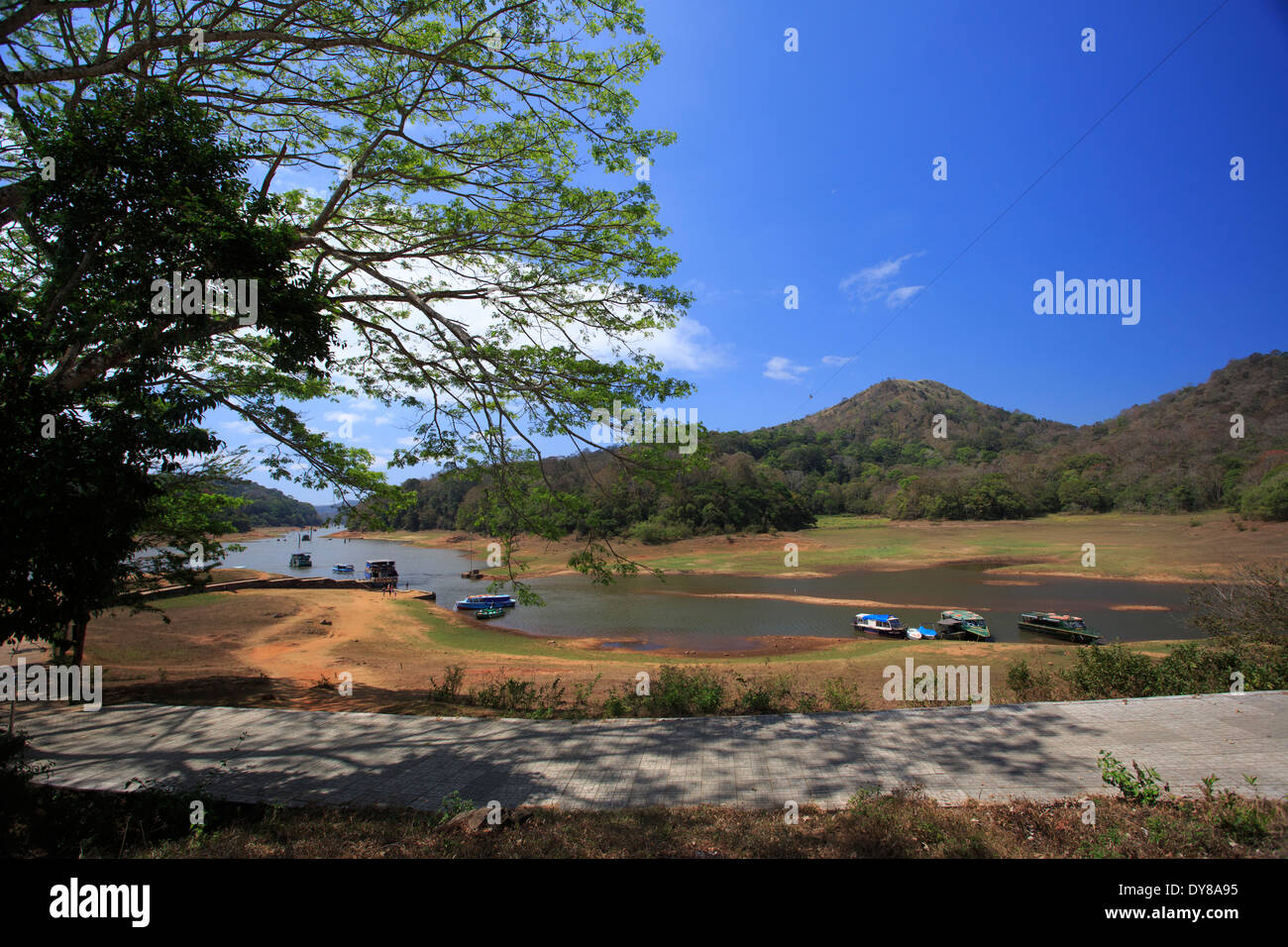 Beautiful Periyar lake Stock Photo - Alamy