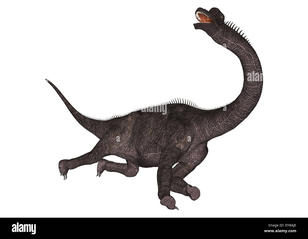 3D digital render of a dinosaur Brachiosaurus isolated on white ...