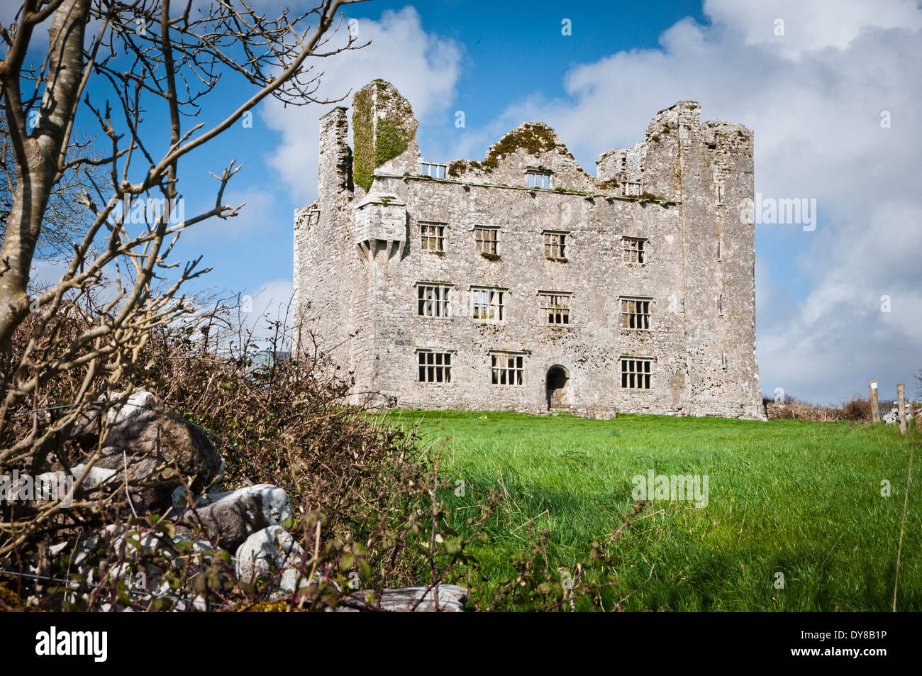 Ruins of Leamanagh Castle, County Clare, Ireland Stock Photo - Alamy