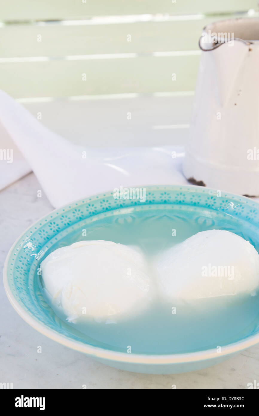 Bowl of two mozzarella Stock Photo - Alamy