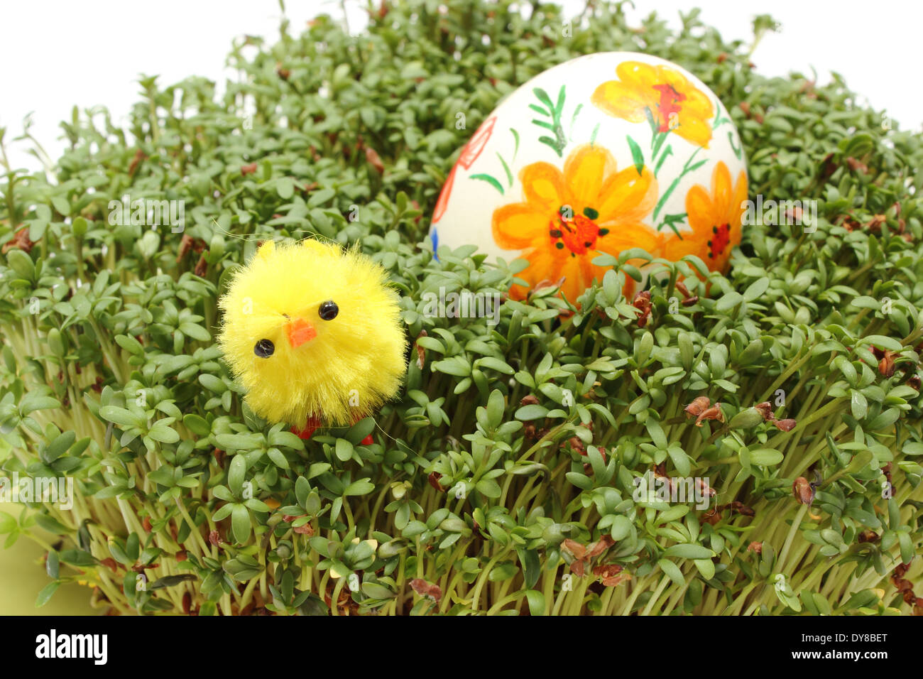 Closeup of funny Easter chicken and colorful painted Easter egg lying ...