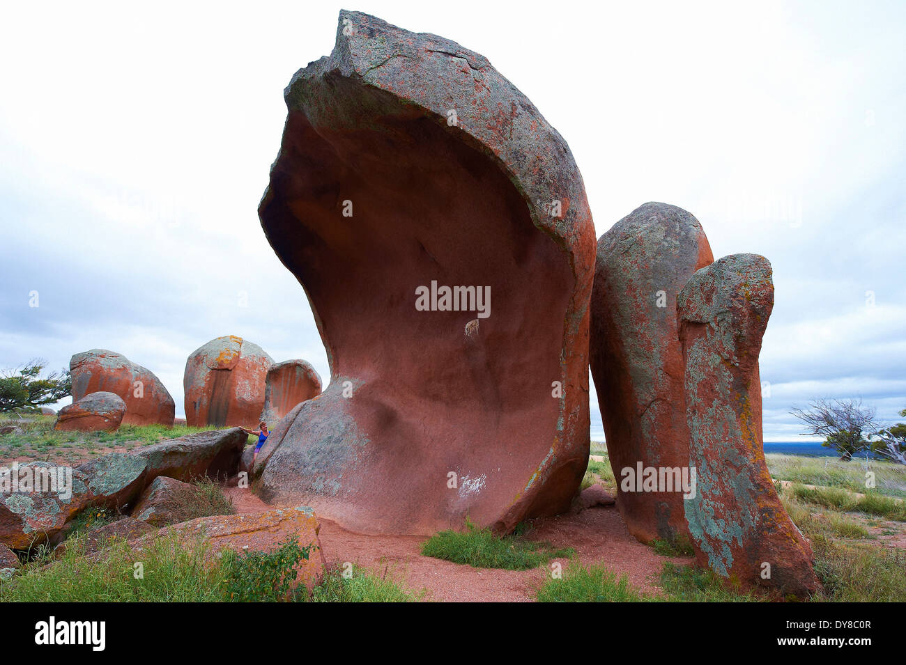 Australia, cliff, rock, Murphy's Hay stacks, Streaky Bay, cliff ...