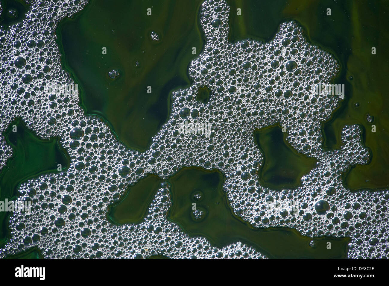 Australia, Leeuwin, foam, froth, bubbles, Naturaliste, national park ...