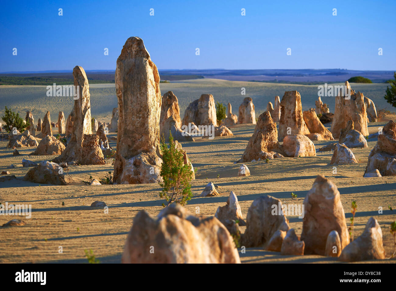 Australia, Nambung, national park, Pinnacles, cliff, rock, cliff ...