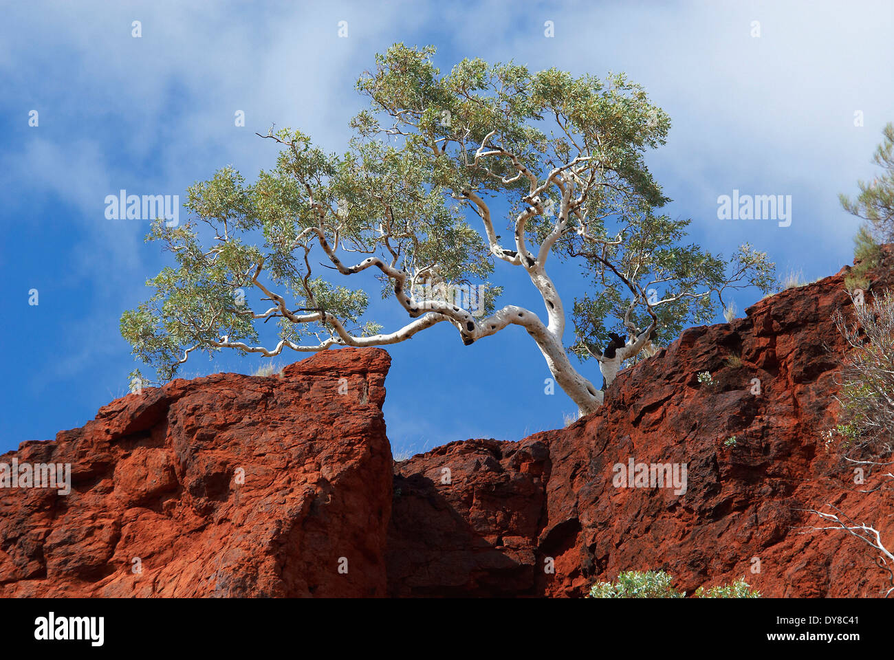 Australia, cliff, rock, Karijini, national park, gulch, Western ...