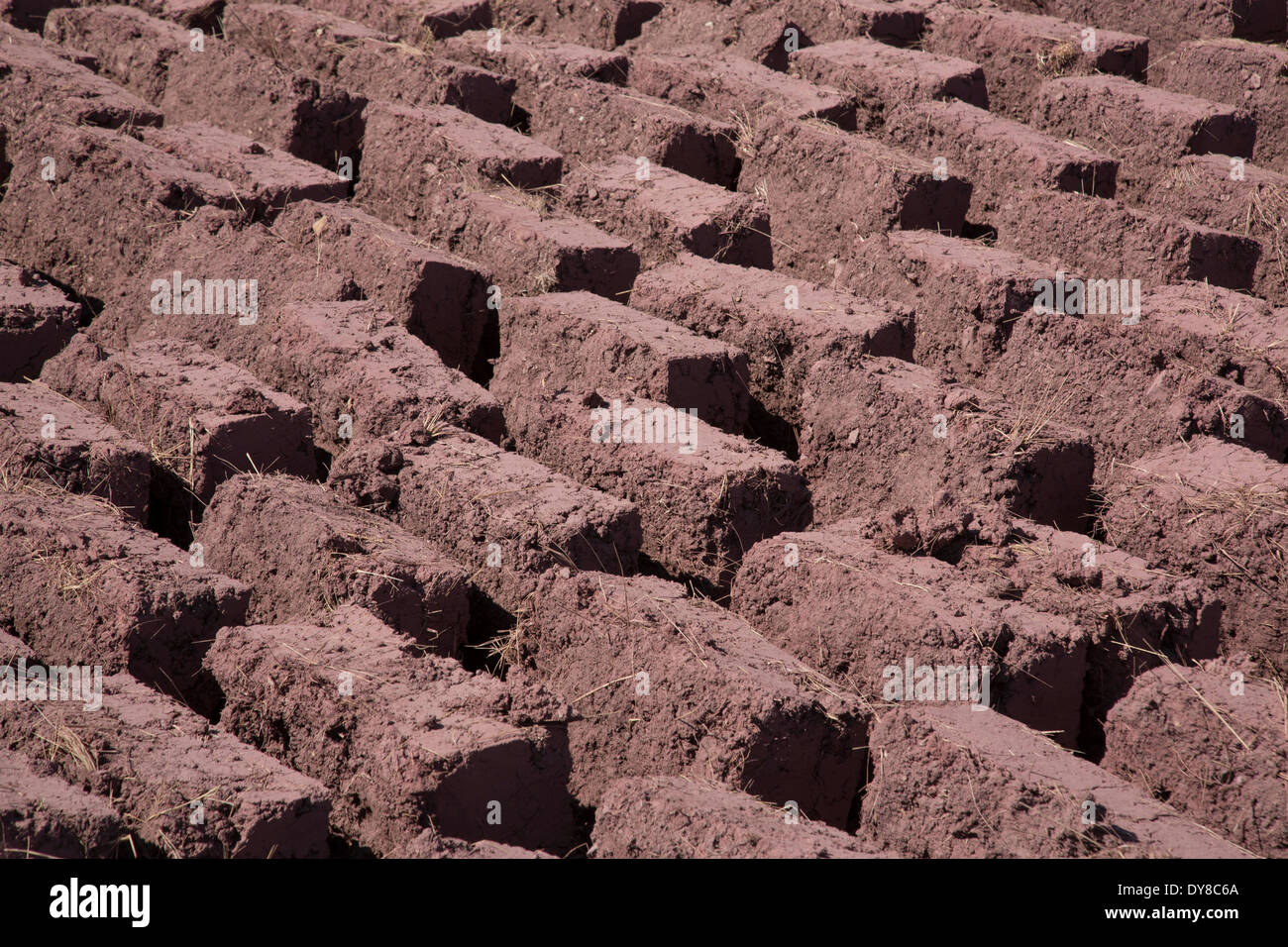 Adobe brick drying hi-res stock photography and images - Alamy