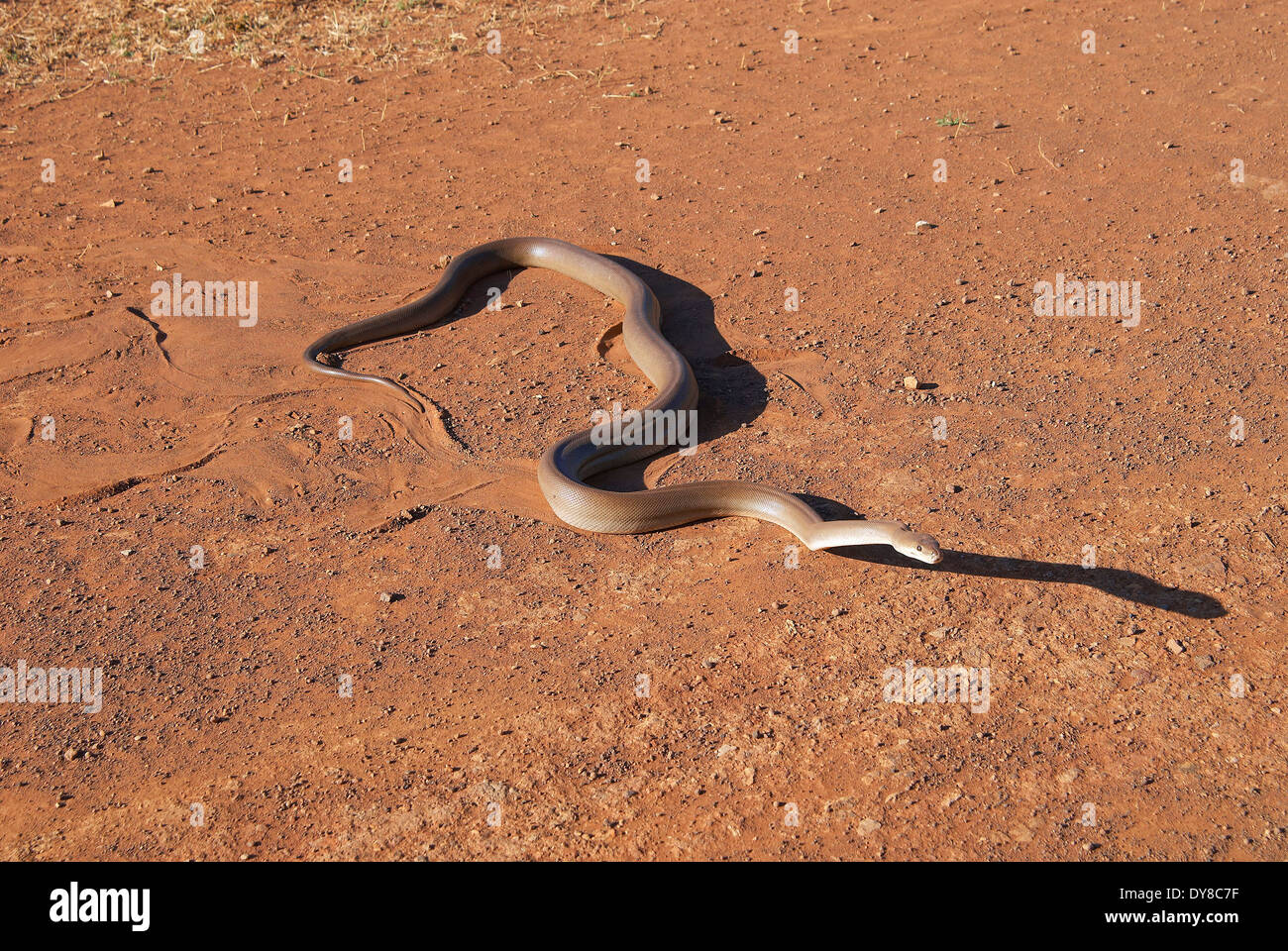 Burketown queensland hi-res stock photography and images - Alamy