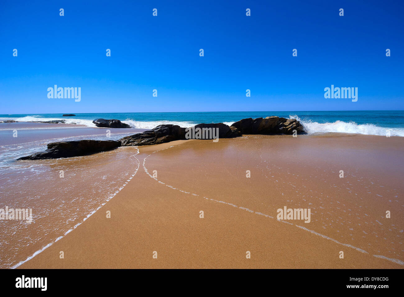 Bongil bongil australia hi-res stock photography and images - Alamy
