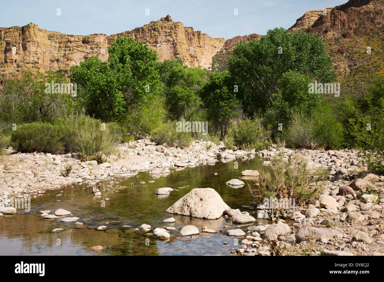 Creek apache national forest arizona hi-res stock photography and ...