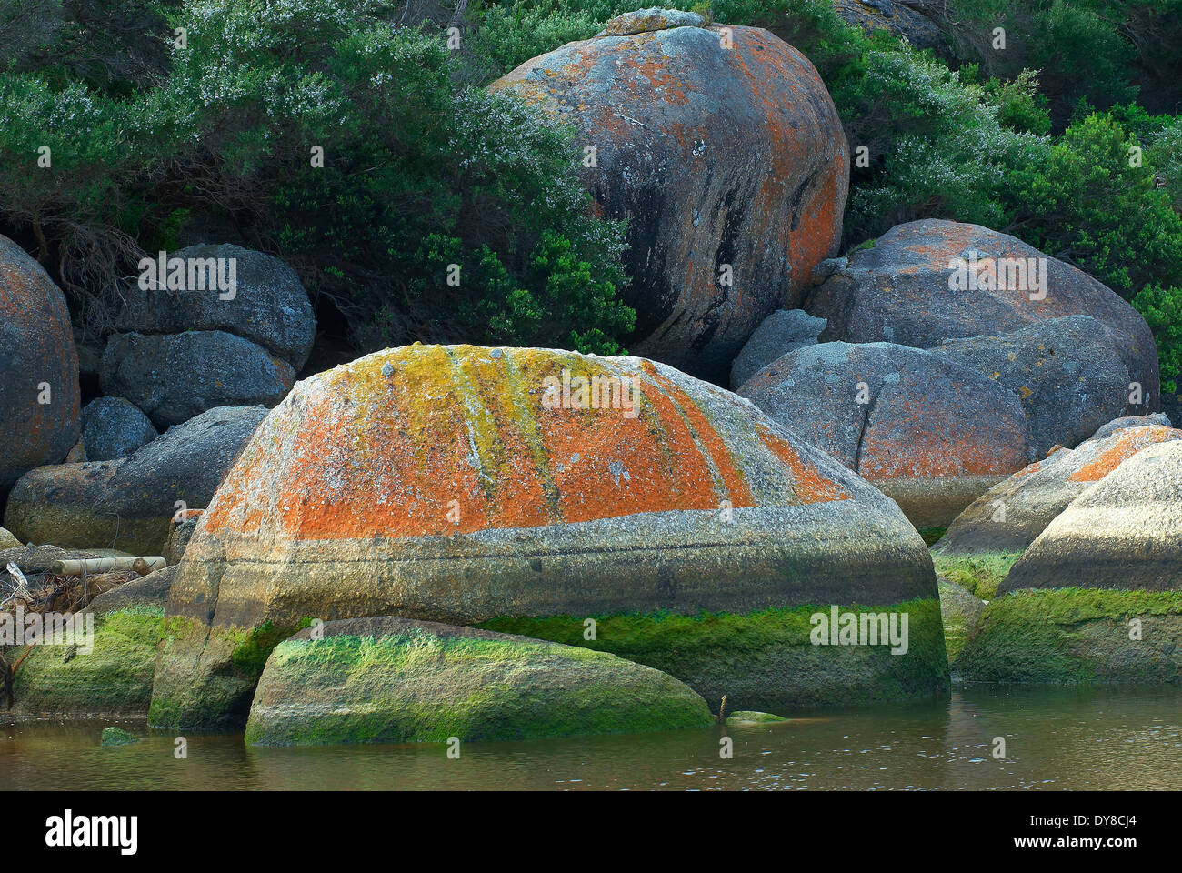 Australia, cliff, rock, Victoria, wood, forest, Wilsons Promontory ...