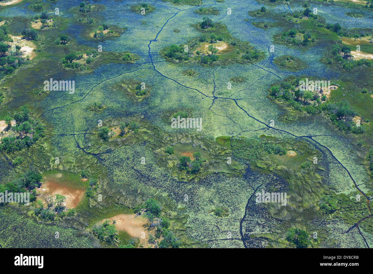 Botswana scenery hi-res stock photography and images - Alamy