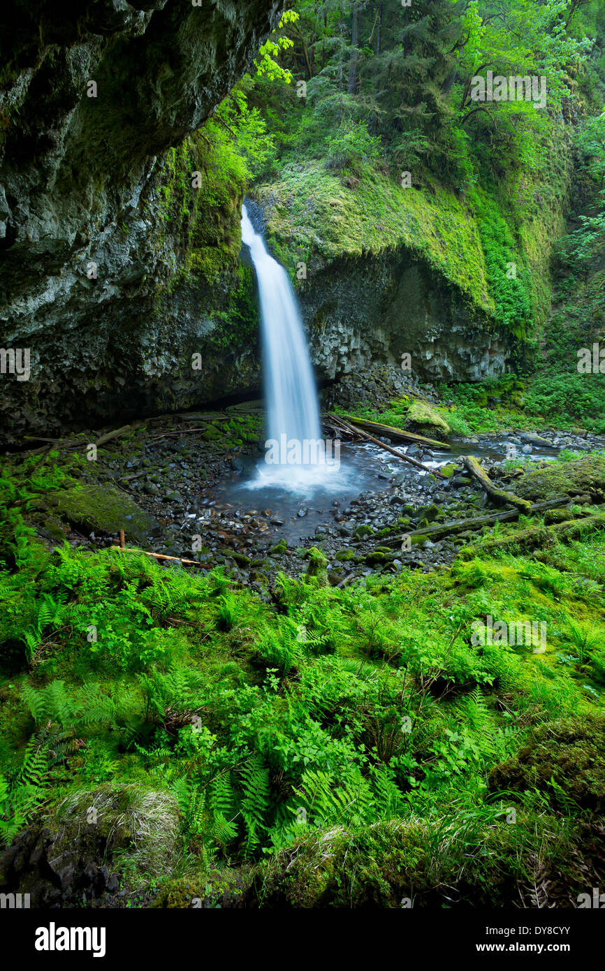 Upper Oneonta Falls in the spring in the Columbia River Gorge, Oregon ...