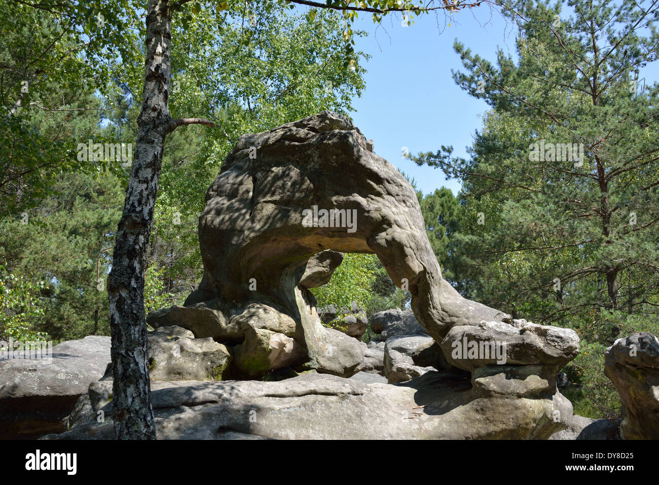 Rock shape like elephant hi-res stock photography and images - Alamy