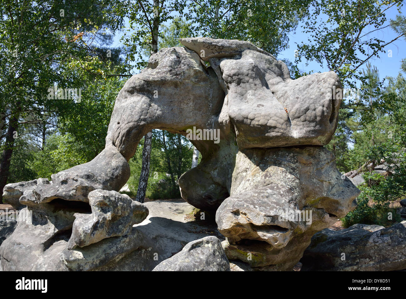 Elephant shaped rock hi-res stock photography and images - Alamy