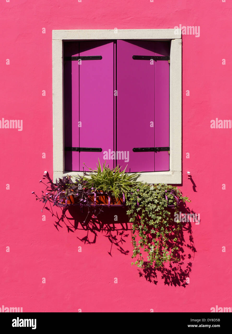 Pink shutter hi-res stock photography and images - Alamy