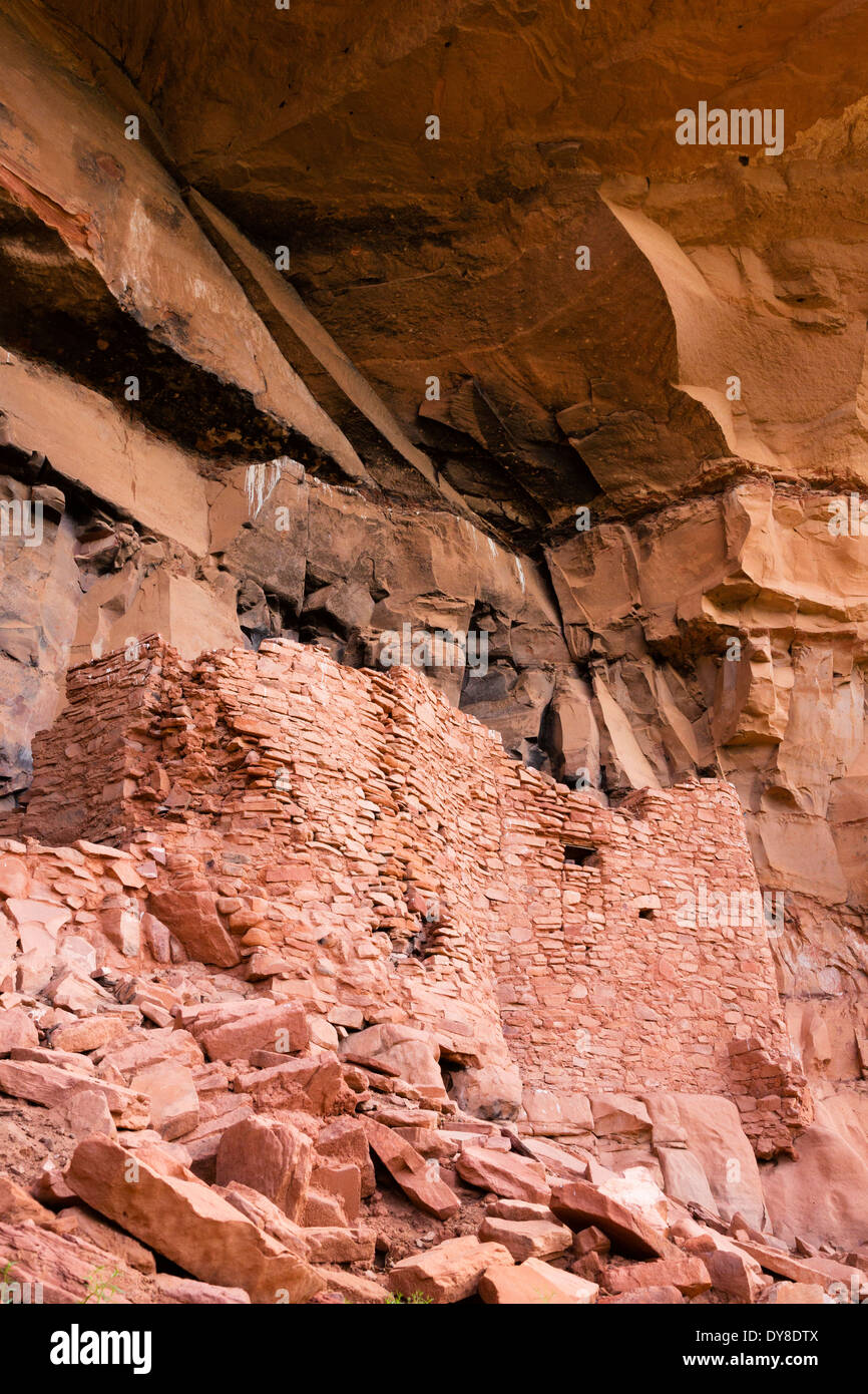 USA, Arizona, Coconino National Forest, Honanki Ruin, ancient home of ...