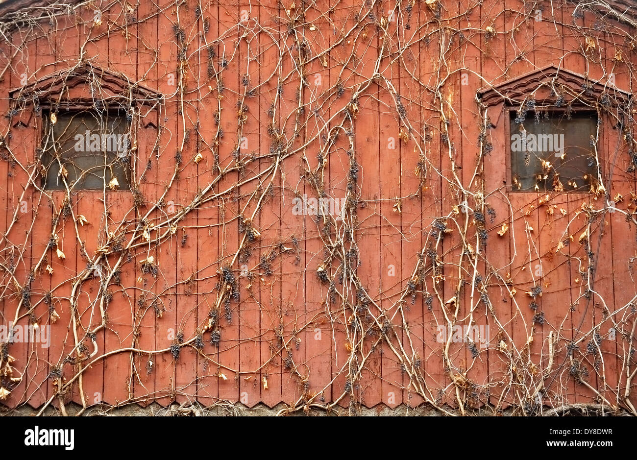 Wall house windows covered hi-res stock photography and images - Alamy