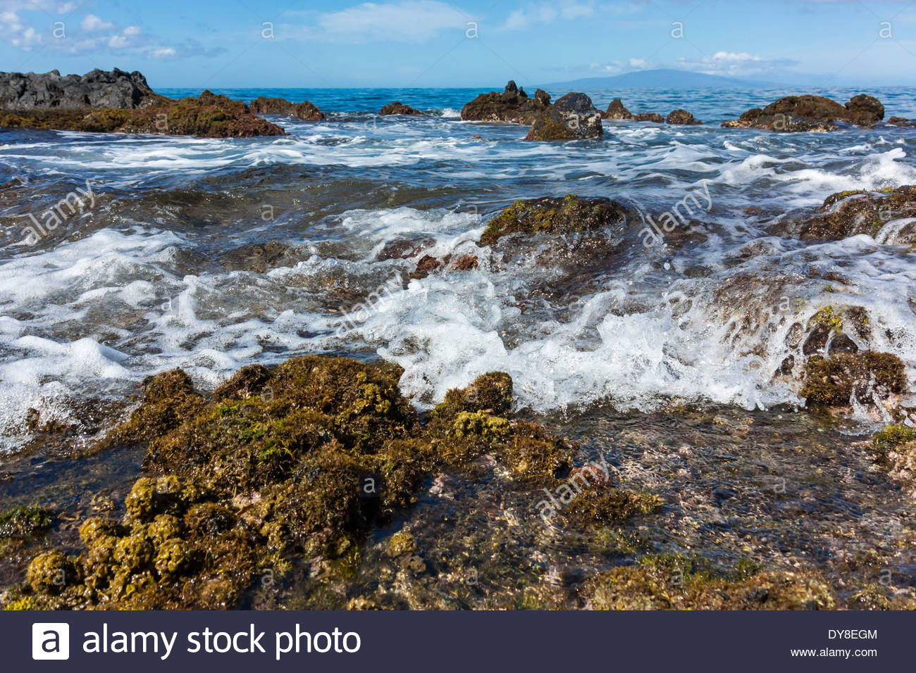 Intertidal Zone High Resolution Stock Photography and Images - Alamy