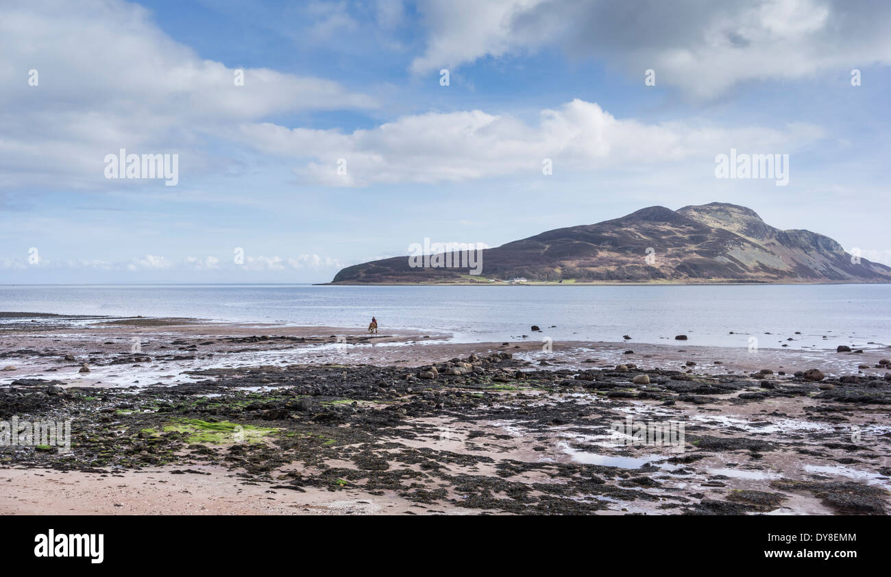 Horse & Rider on beach at Lamlash on the Isle of Arran in Scotland ...