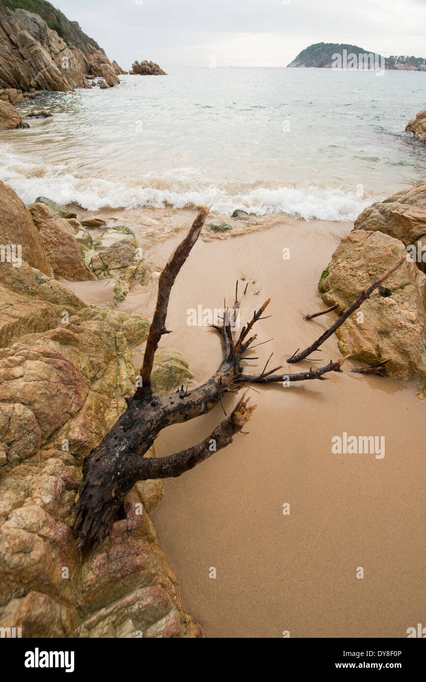 Preserved area hi-res stock photography and images - Alamy