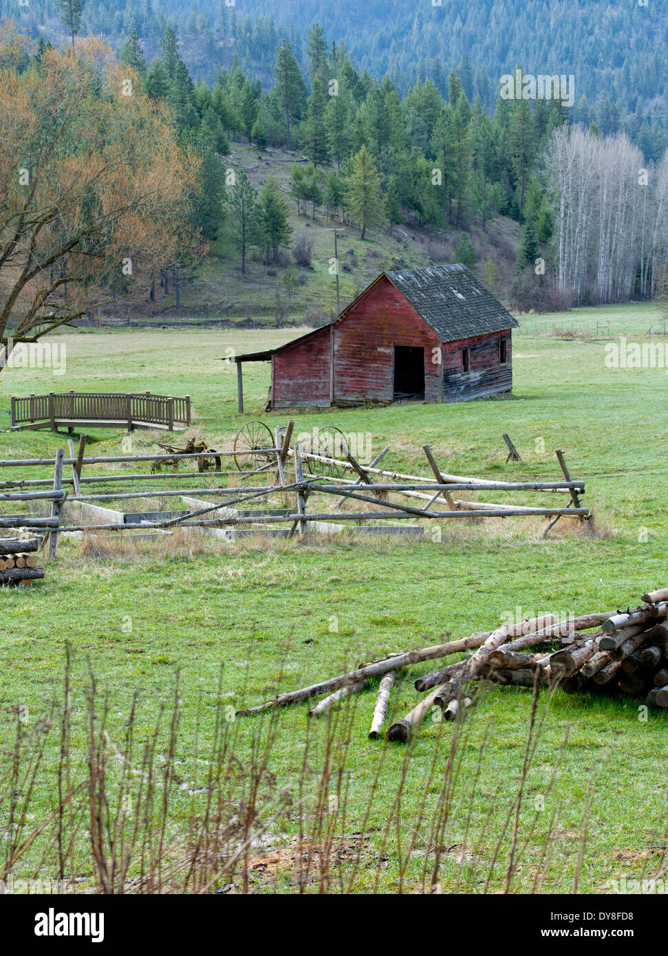 Small barn in pasture Stock Photo - Alamy
