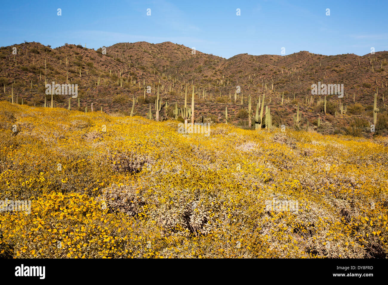 Tonto pass hi-res stock photography and images - Alamy