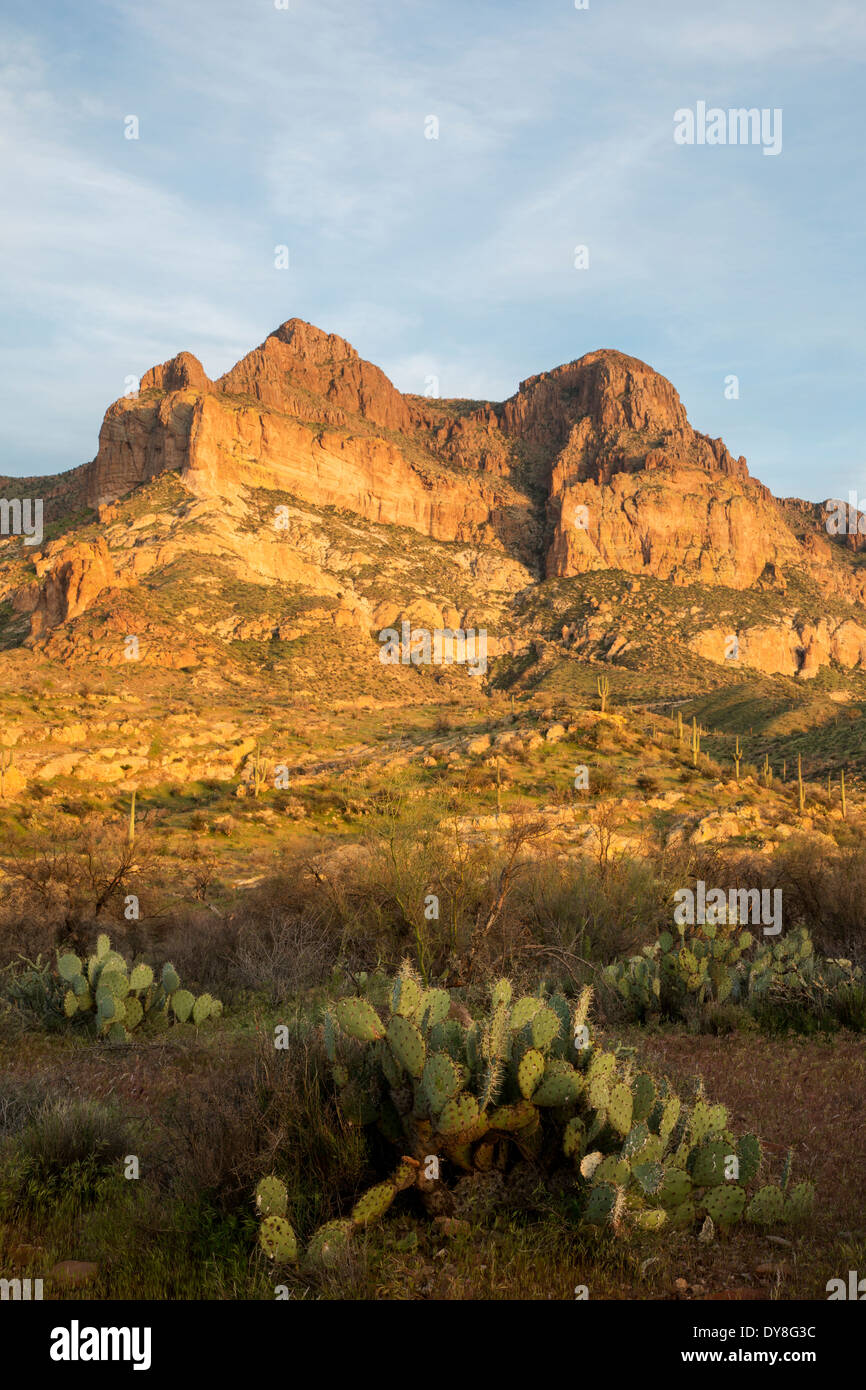 Picketpost mountain hi-res stock photography and images - Alamy