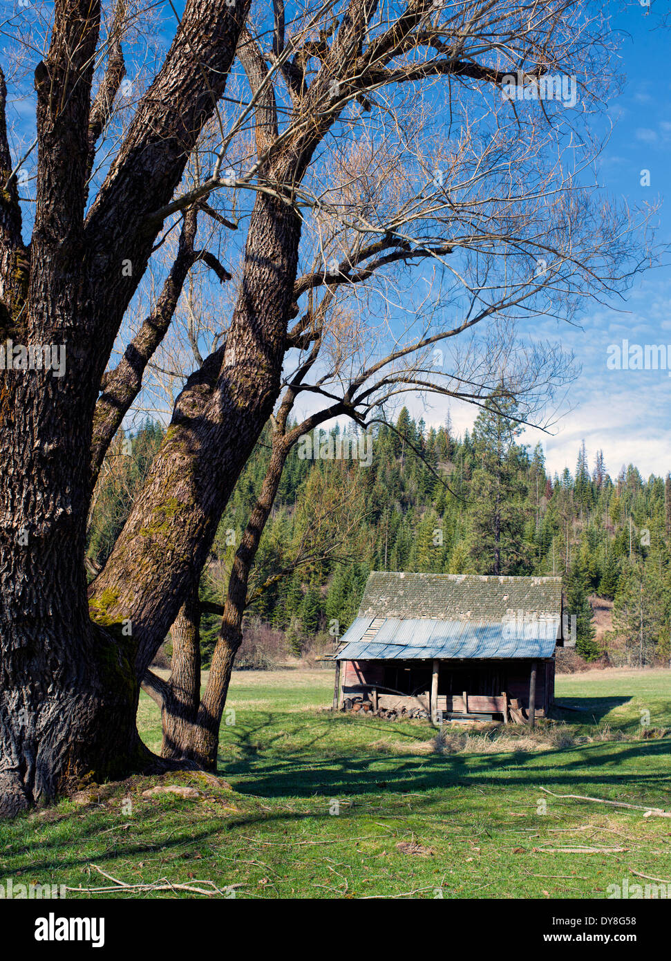 Barn and trees Stock Photo - Alamy