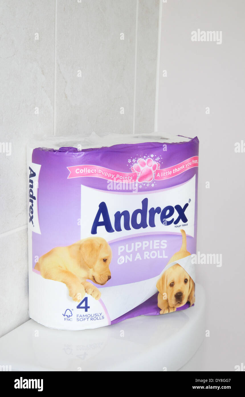 Pack of Andrex Toilet Tissue in a Bathroom Setting, UK Stock Photo - Alamy