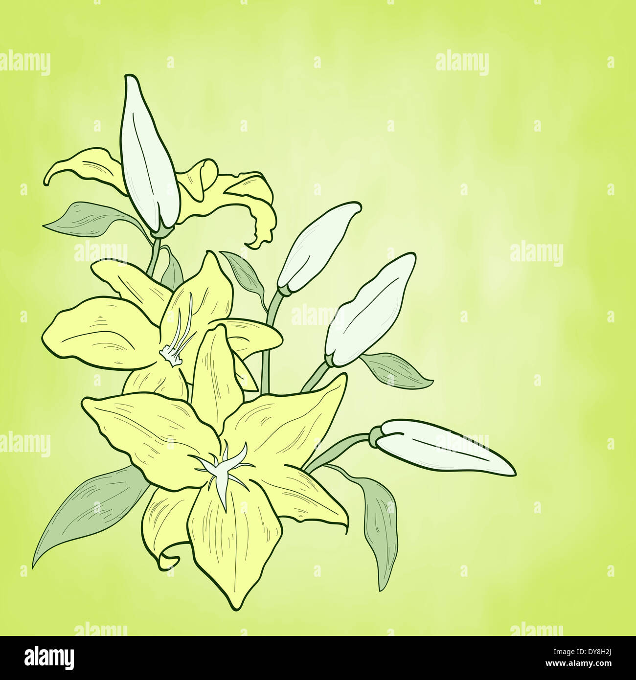 background with green flower lily, spring theme Stock Photo - Alamy