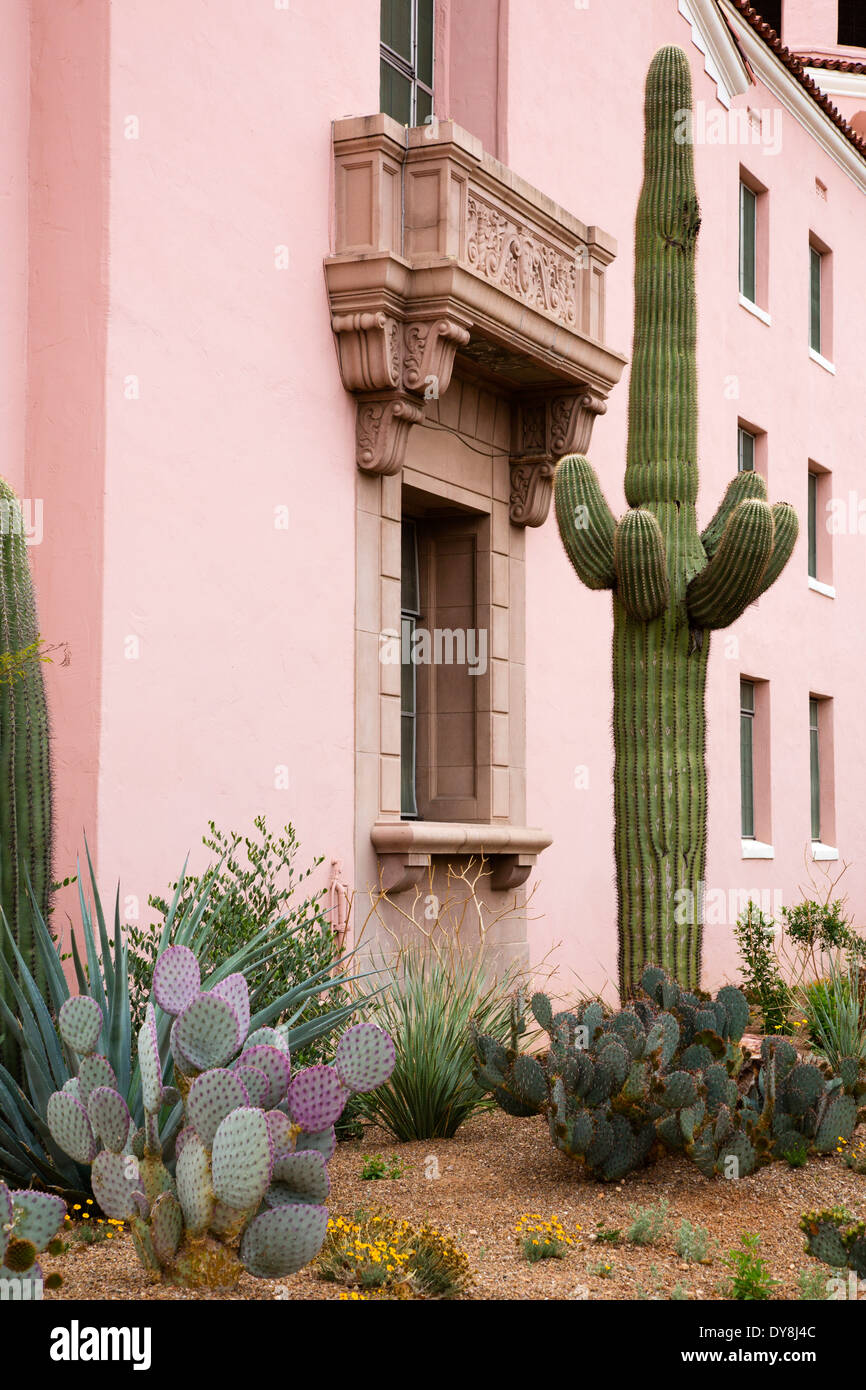 USA, Arizona, Tucson, Pima County Courthouse, cactus and desert plants ...