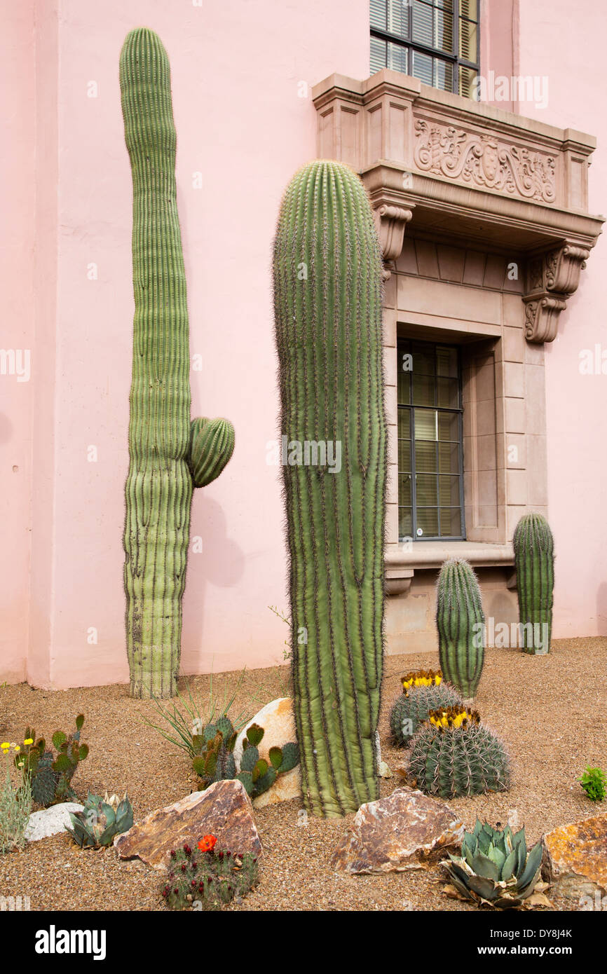 Old pima county courthouse hi-res stock photography and images - Alamy