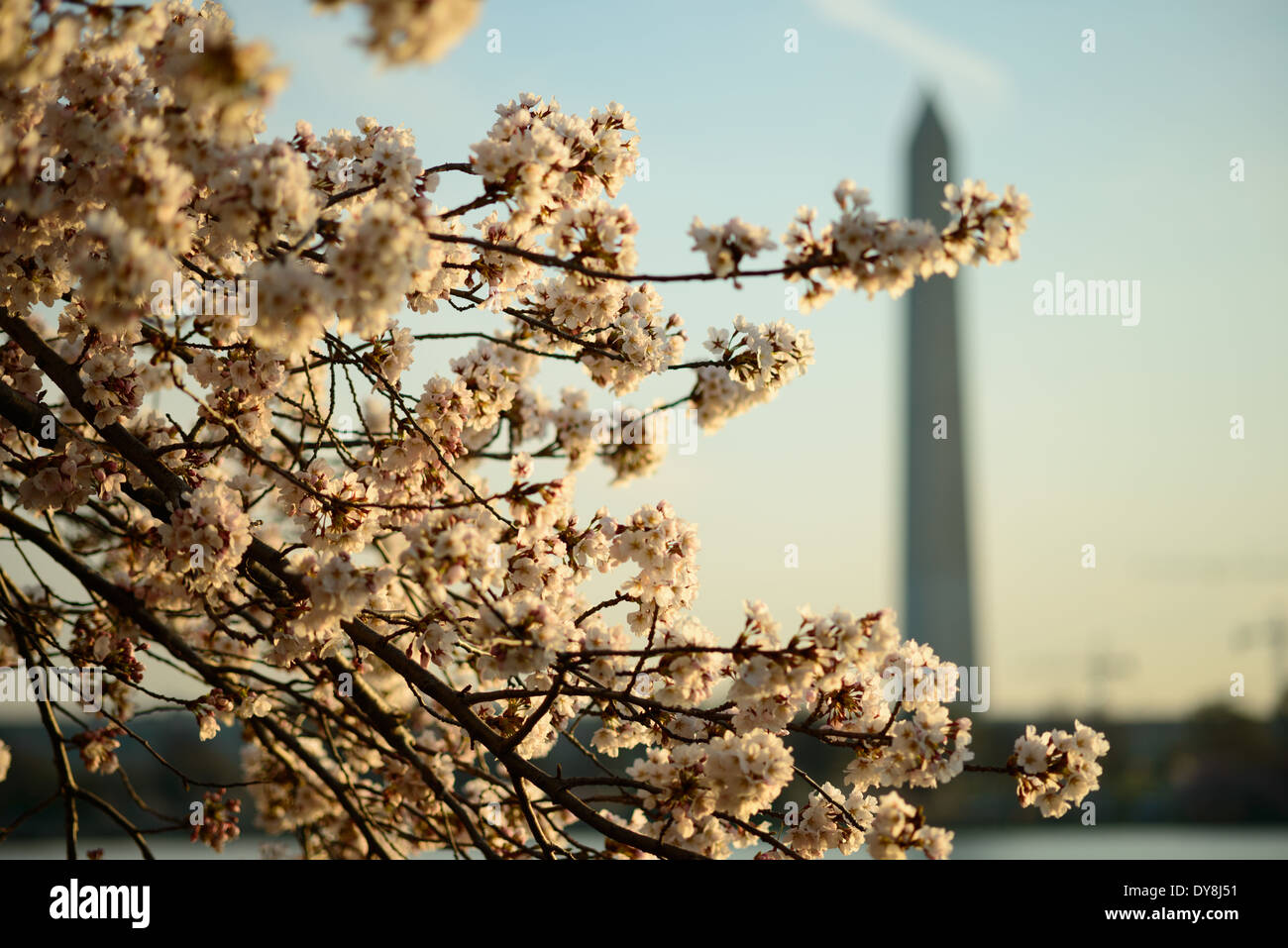 Pierre charles lenfant vision hi-res stock photography and images - Alamy