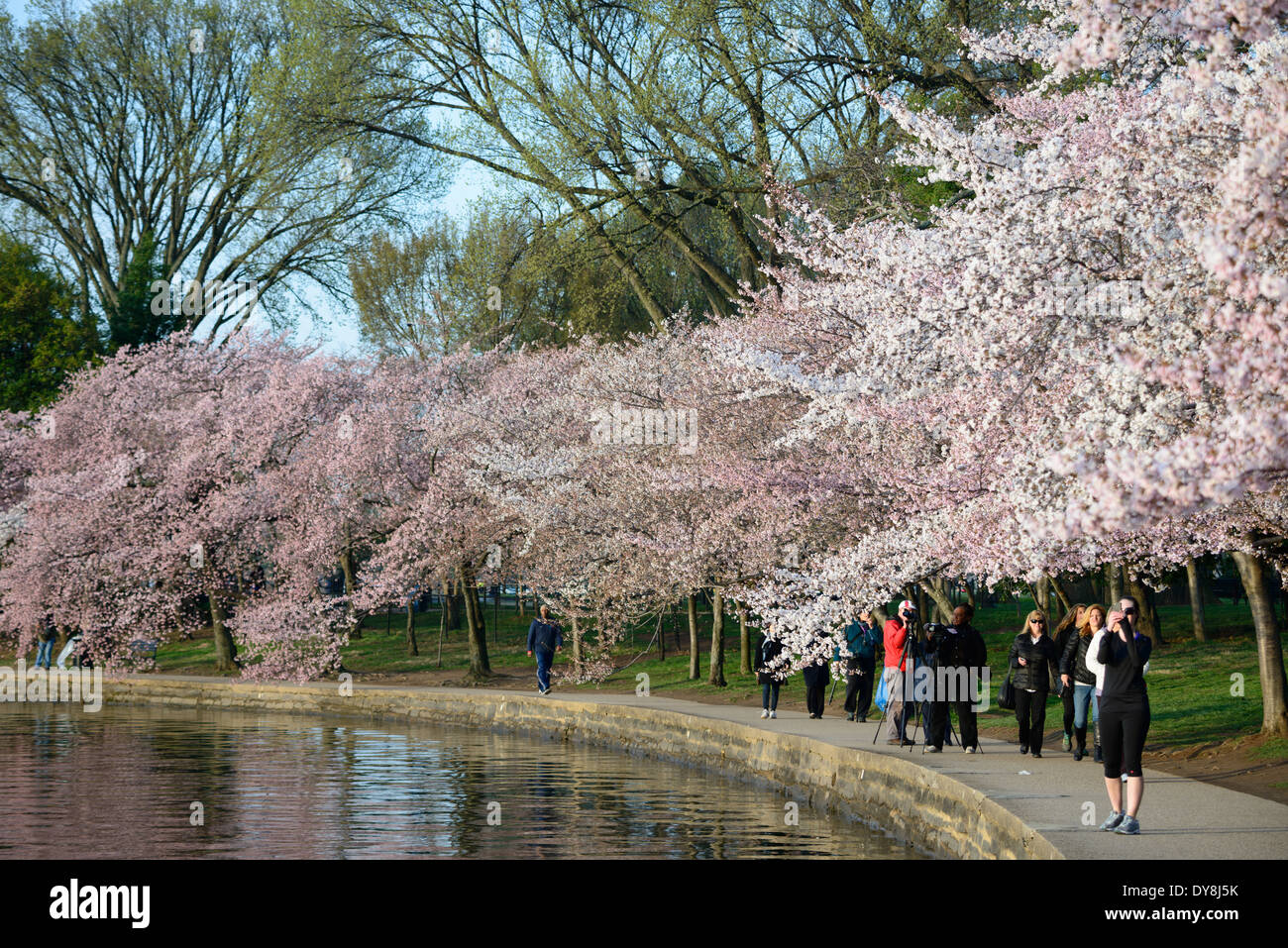 Tidal basin pictures hi-res stock photography and images - Alamy