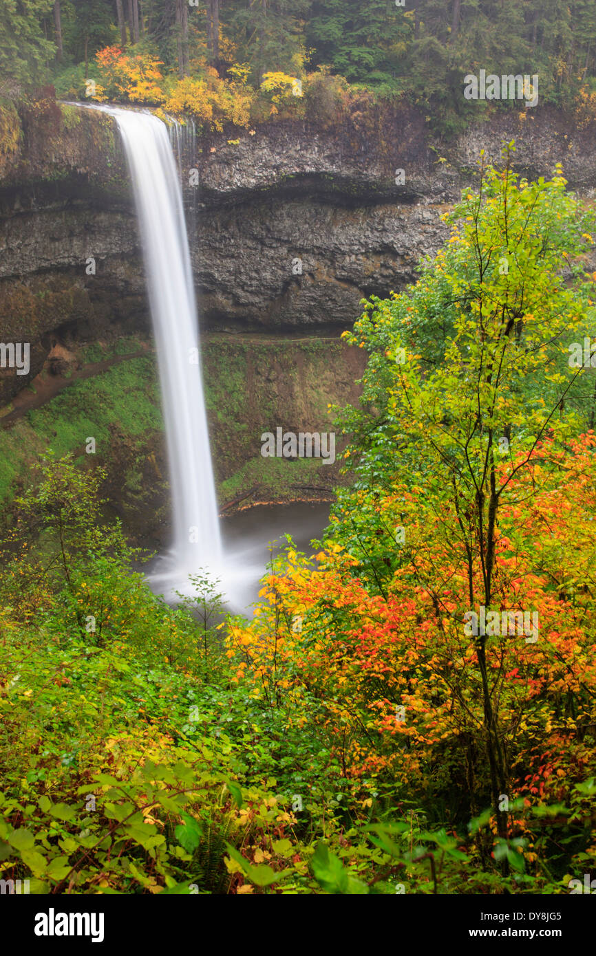 USA, Oregon, Silver Falls State Park, South Falls (177 feet Stock Photo ...