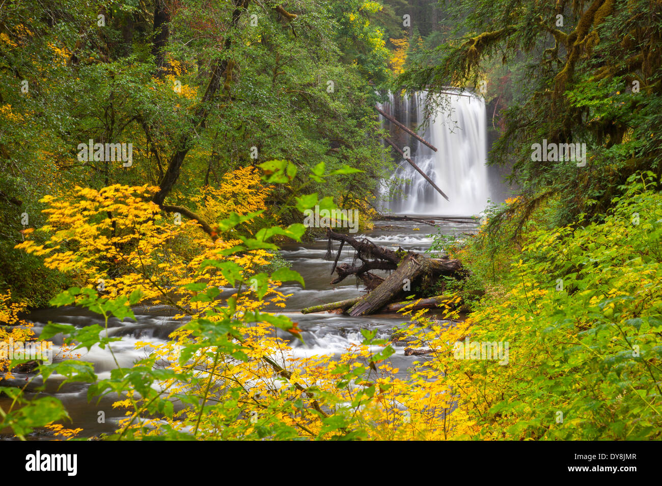 65 feet hi-res stock photography and images - Alamy