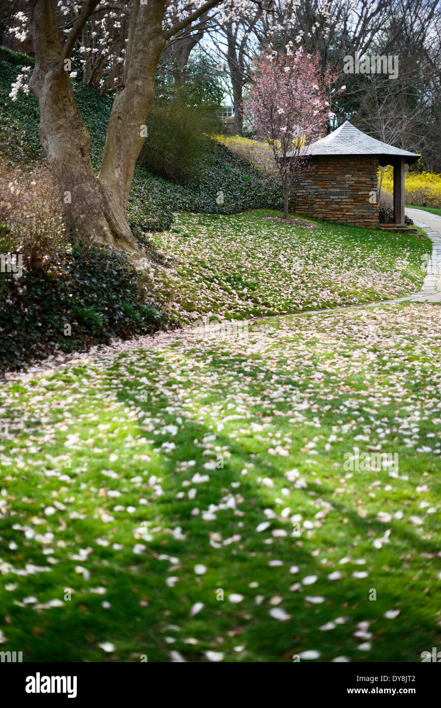 Dumbarton Oaks Gardens Landscape Washington DC // WASHINGTON DC — The ...