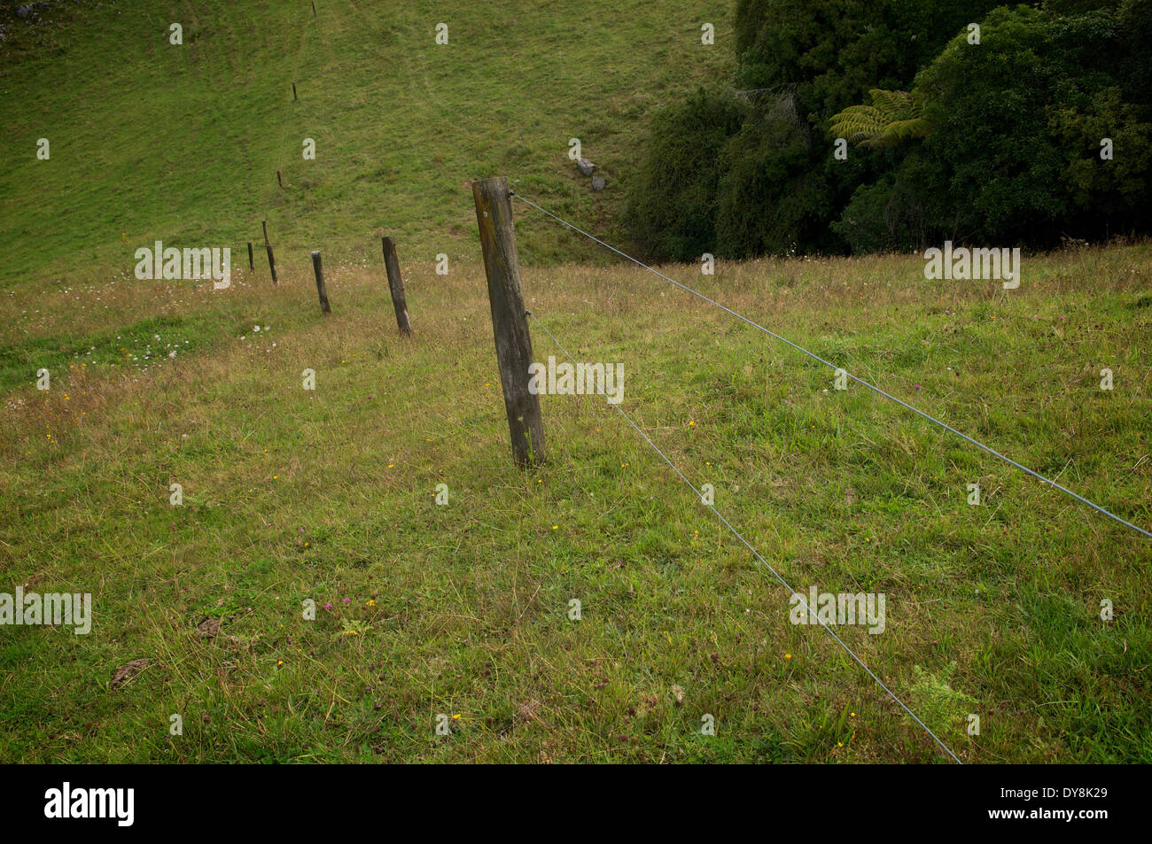 Nz09wt004 hi-res stock photography and images - Alamy