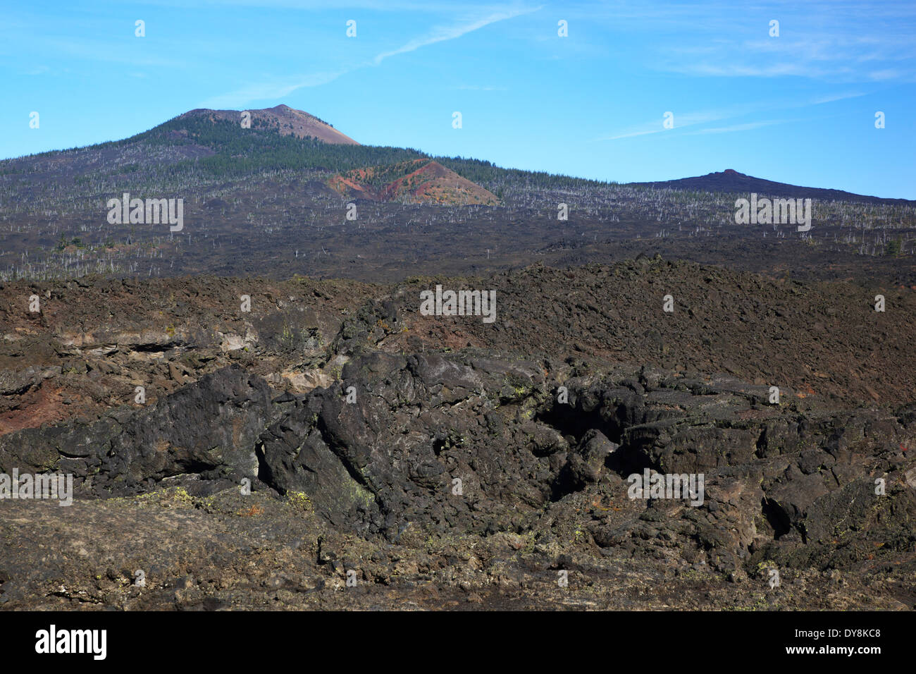 USA, Oregon, Willamette National Forest, McKenzie Pass, Belknap Crater ...