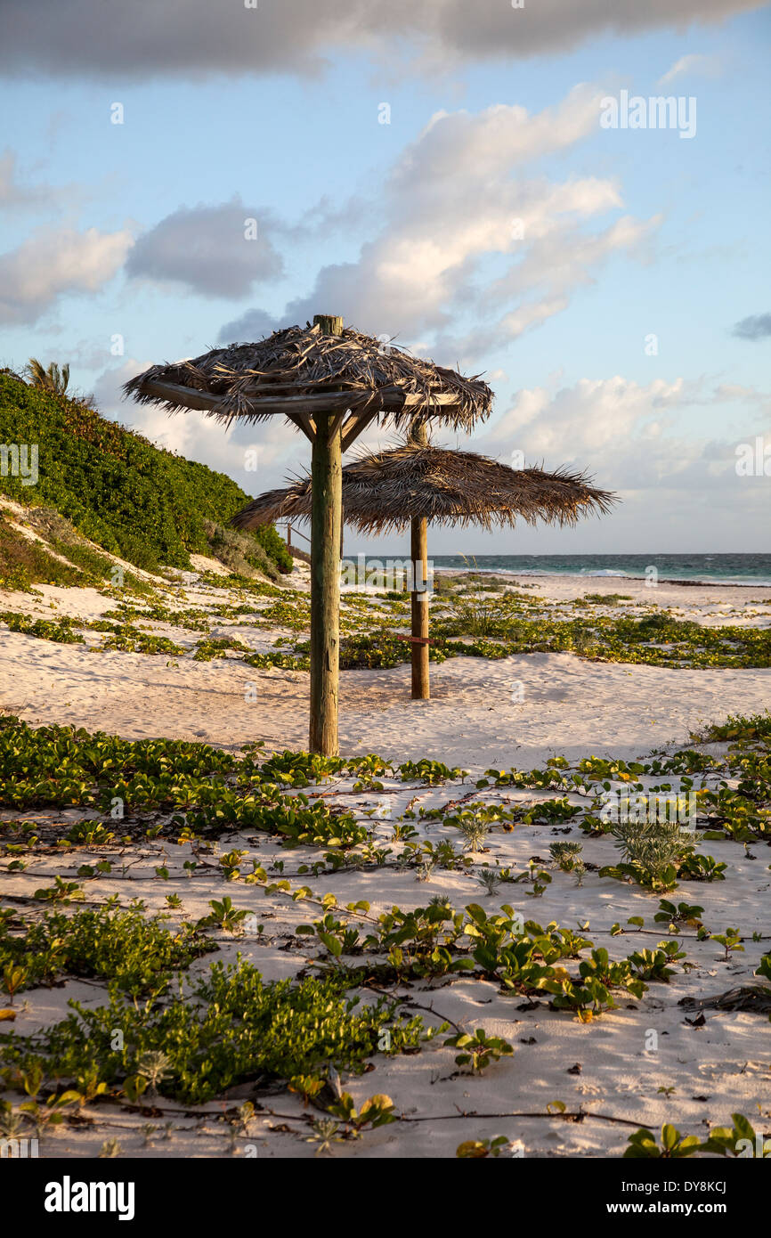 Palapas on the beach at Harbor Island Stock Photo - Alamy