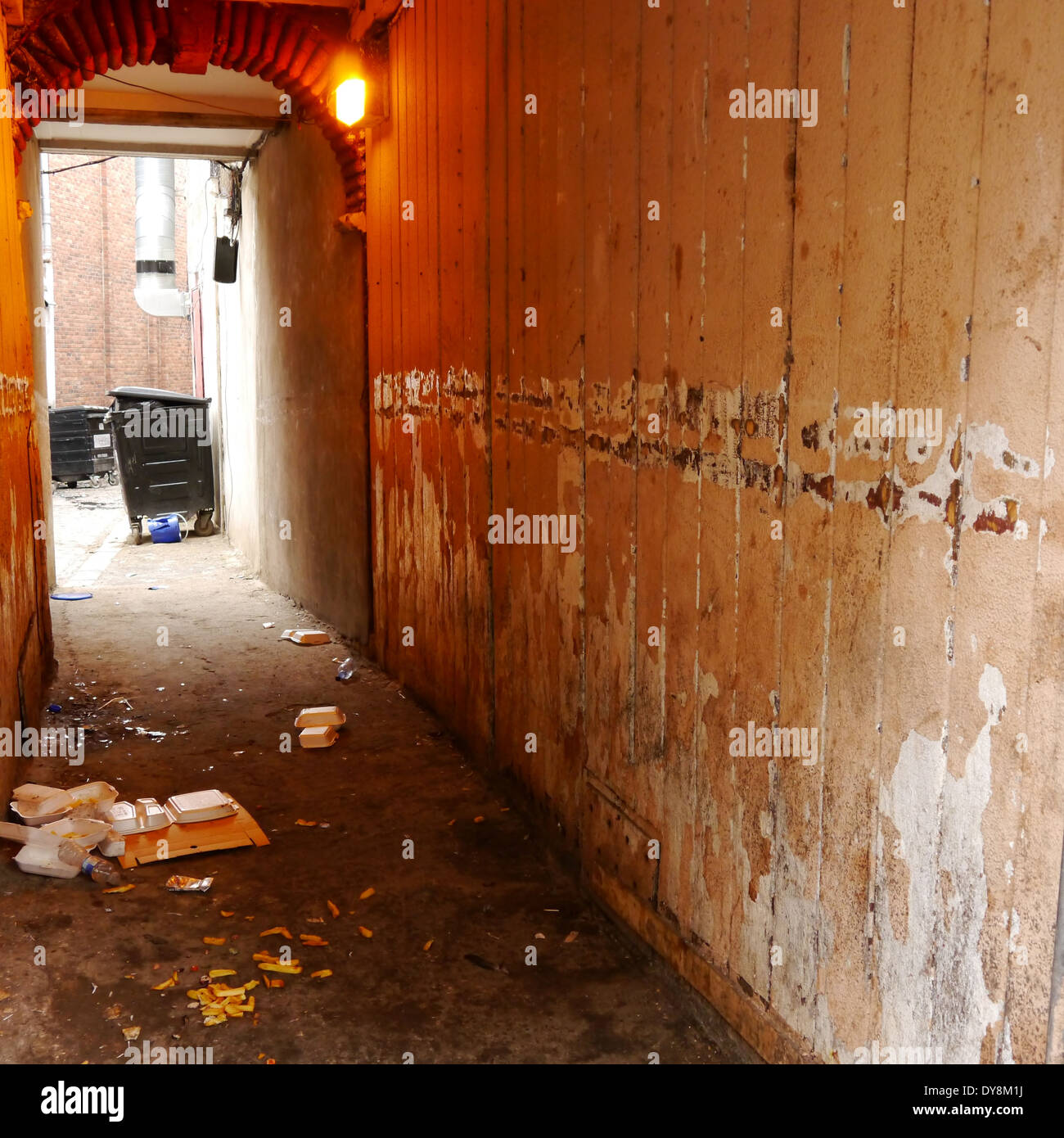 Urban landscape - Alleyway, Newcastle upon Tyne Stock Photo - Alamy