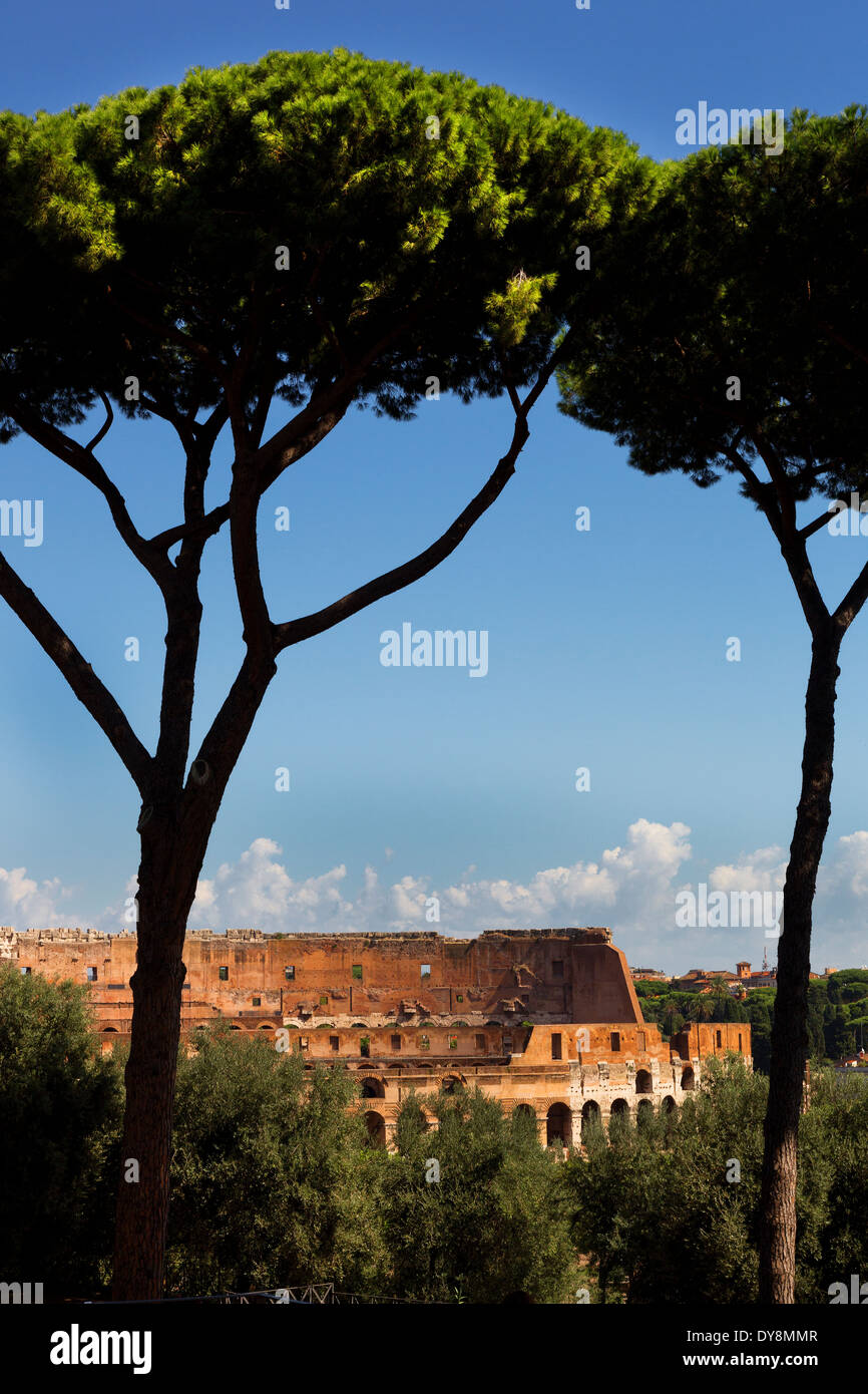 View between two trees of Roman Colosseum Rome, Italy Stock Photo - Alamy