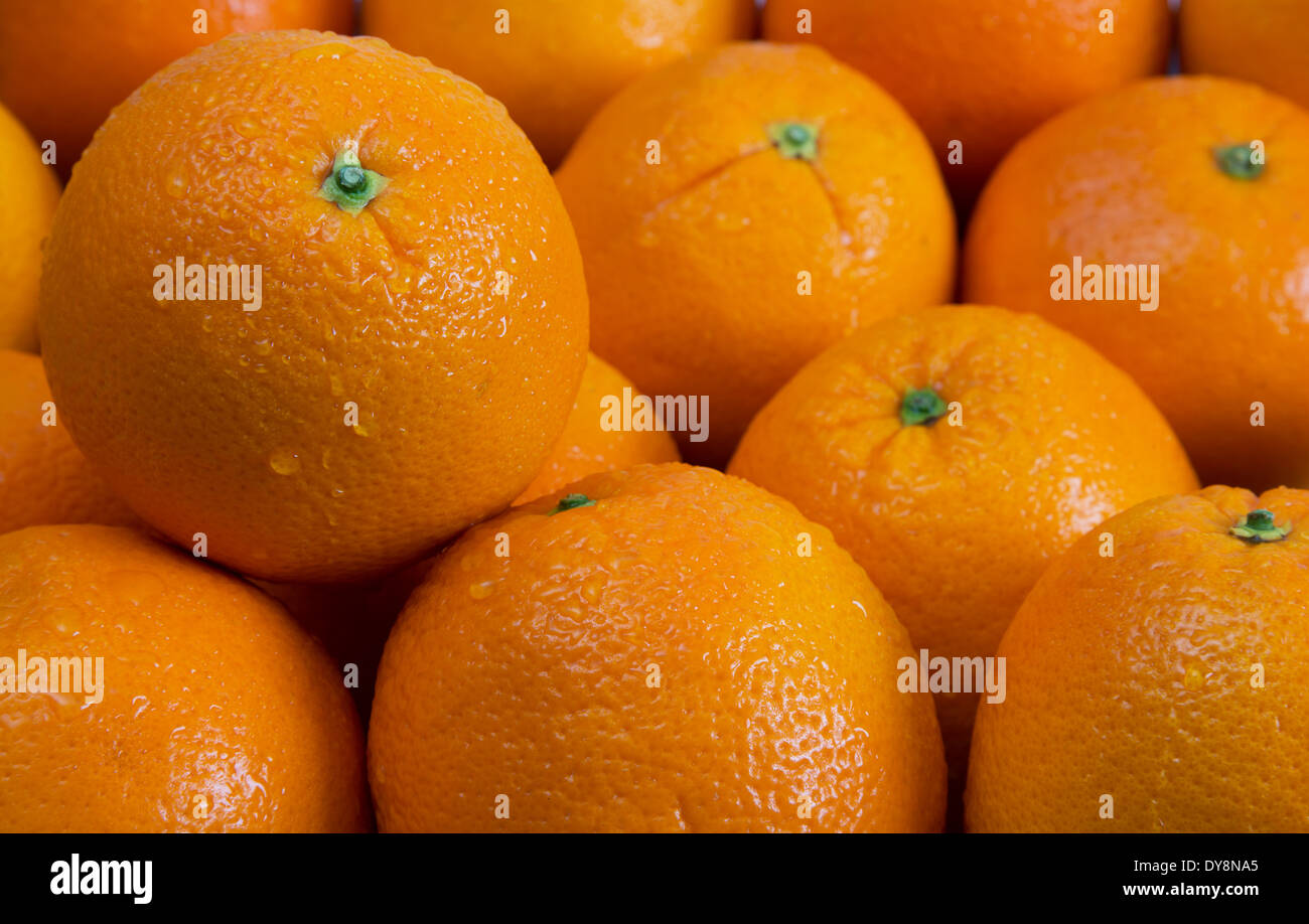 Fresh bunch of fruity oranges Stock Photo - Alamy