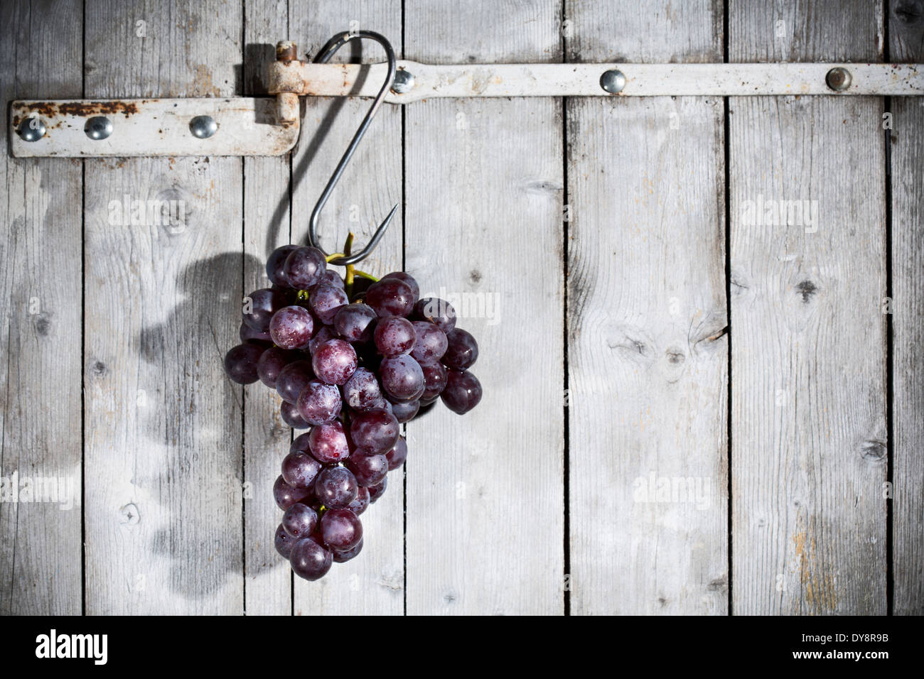 Red grapes hanging on hook in front of grey wooden wall Stock Photo - Alamy