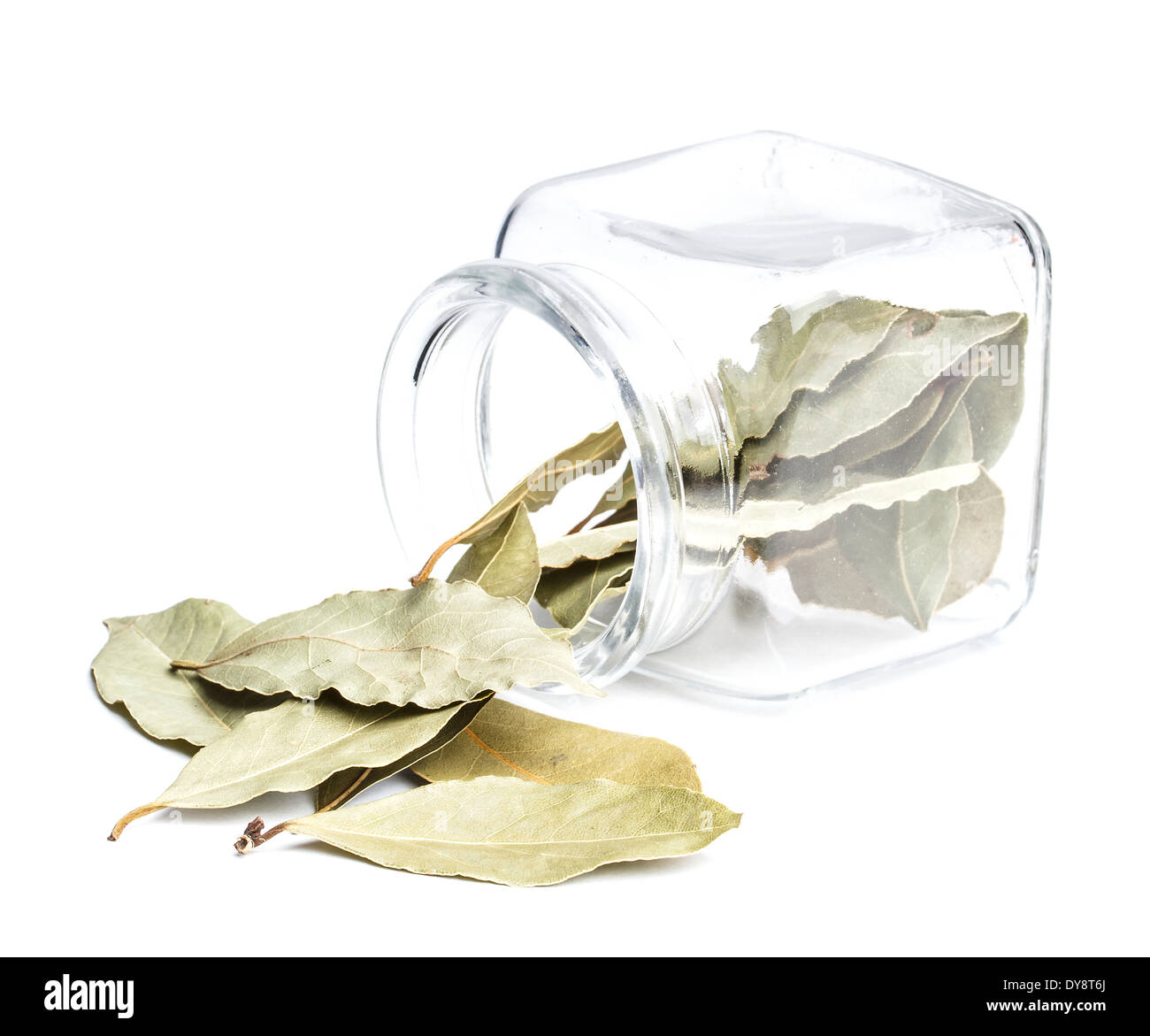 Bay leaves in the overturned glass jar Stock Photo - Alamy