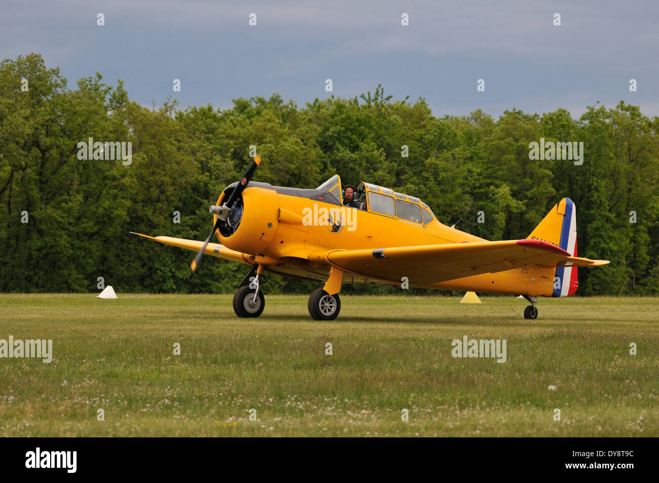 North american t 6g texan hi-res stock photography and images - Alamy