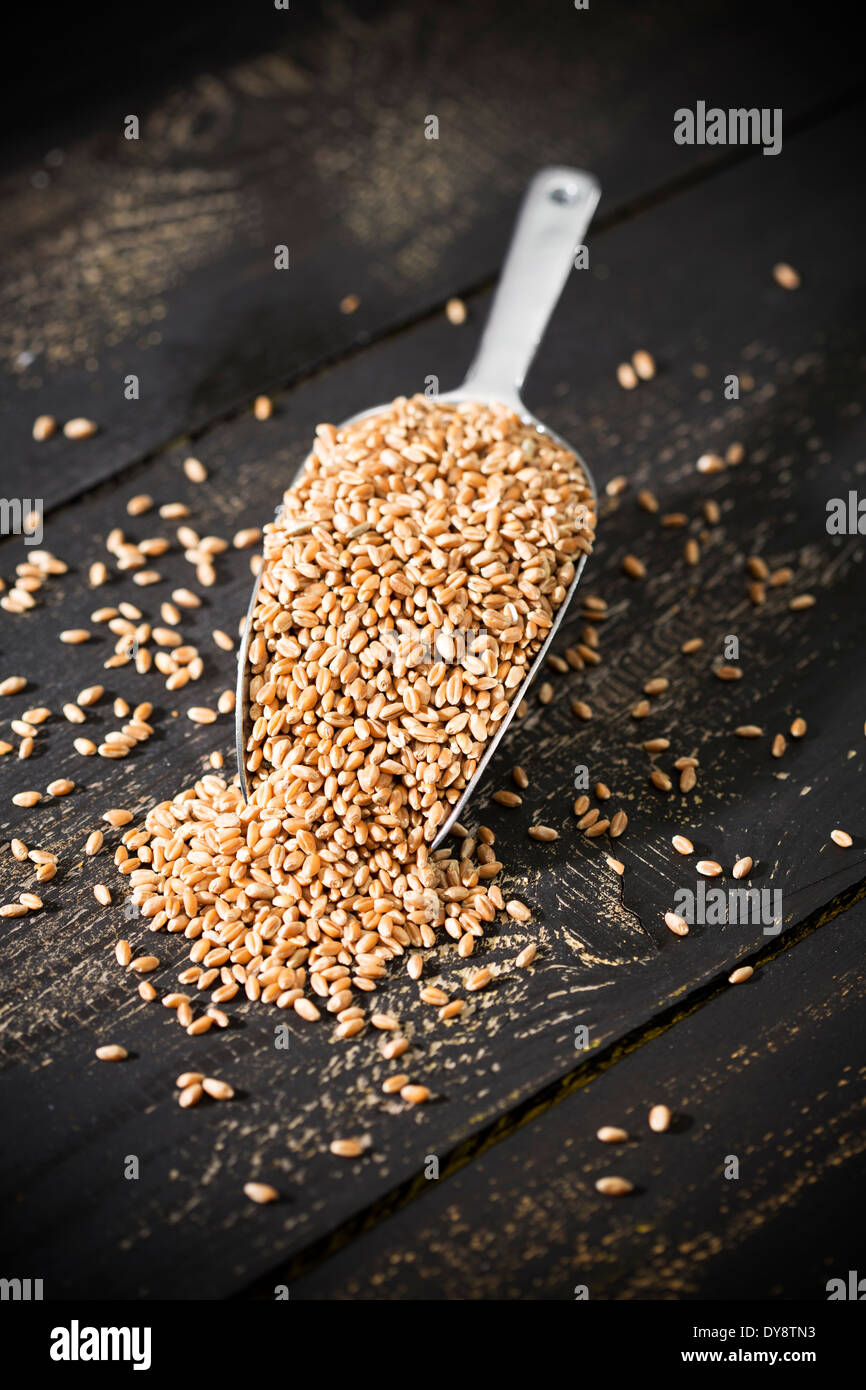 Metal shovel of wheat grains on dark wood Stock Photo - Alamy