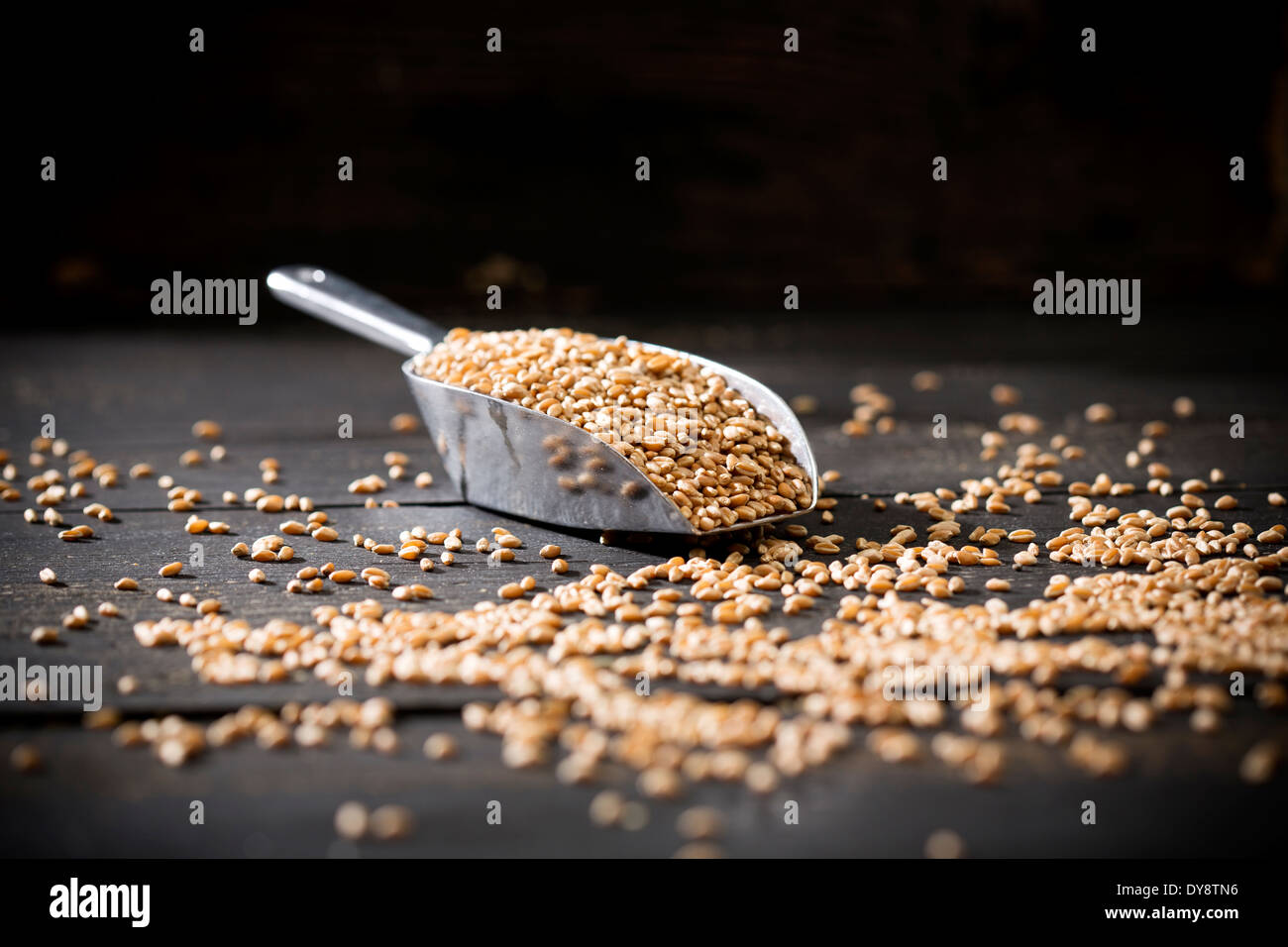 Wooden shovel and wheat grains hi-res stock photography and images - Alamy